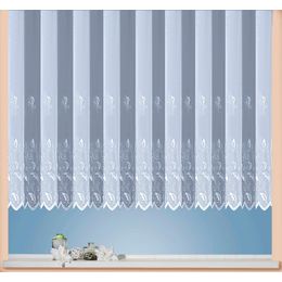 Weckbrodt-Gardinen Gardine WECKBRODT, B:750cm H:175cm, wei&szlig;, Voile, Polyester, Wohnzimmer, Gardinen, "Br&uuml;ssel", echte Stickerei, Voile, halbtransparent, Bord&uuml;re, Kante,