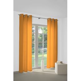 Vorhang WIRTH, B:127cm H:245cm, orange, Baumwolle, Wohnzimmer, Gardinen, "WIRTHNatur", 2-lagig