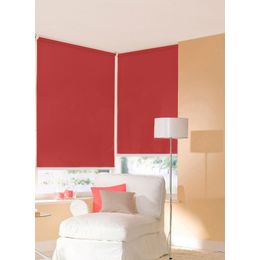 Seitenzugrollo SUNLINES, B:102cm H:180cm, rot, Kunststoff, Metall, Polyester, Rollos, "One size Style uni", Made in Germany
