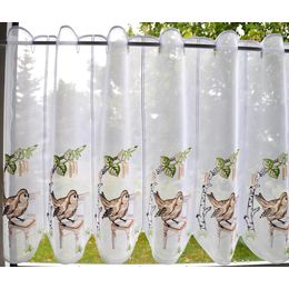 Scheibengardine, B:160cm H:50cm, bunt, Stickereien Plauen, Voile, Polyester, K&uuml;che, Gardinen, "V&ouml;glein auf Stuhl"
