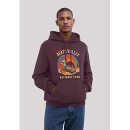 F4NT4STIC Herren Kapuzenpullover "US National Parks Visit Death Valley", braun, Gr. S, Obermaterial: 80% Baumwolle, 20% Polyester, Pullover, Premium