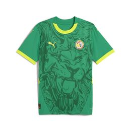 Puma Herren Trainingsshirt "Senegal 2025 Ausw&auml;rtstrikot Herren", gr&uuml;n, Gr. XL, bedruckt, Obermaterial: 100% Polyester; Rippe: 100% Polyester, Shirts