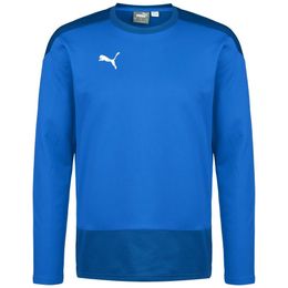 Puma Athletic Sweatshirt 'TeamGoal 23 ' male Blue size XL
