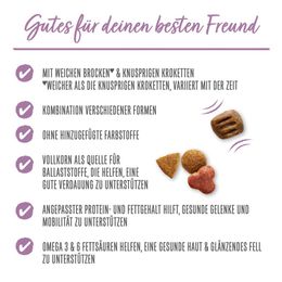 Beneful Gl&uuml;ckliche Jahre 7+ Huhn & Gem&uuml;se Hunde-Trockenfutter Senior Hundenahrung 2x12kg