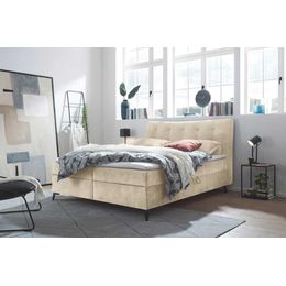 Riess Ambiente Design Boxbett DECADENCIA 180x200cm champagner beige Samt mit Bettkasten Topper Riess-Ambiente Chesterfield Landhaus Modern