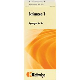 Kattwiga Synergon Komplex 4a Echinacea T Tabletten 100 St