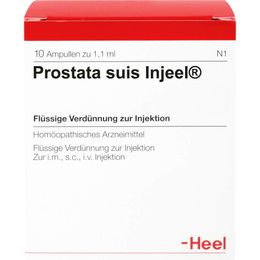 Heel Prostata Suis Injeel Ampullen 10 St