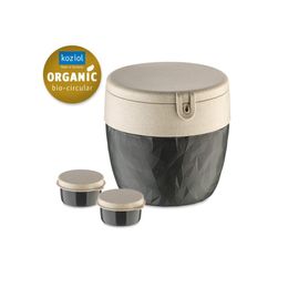 Koziol BENTOBOX L * - Bentobox in nature ash grey | Gr.: onesize