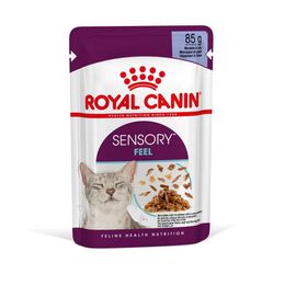 Royal Canin Sensory Feel Jelly Katzen-Nassfutter 12x85g