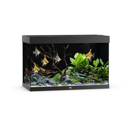 JUWEL Rio 290 LED Aquarium Süsswasseraquarium mit Filtersystem Schwarz