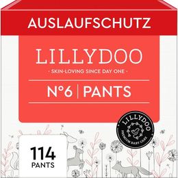 Baby Pants Gr. 6 (13+ kg), Monatsbox Lillydoo