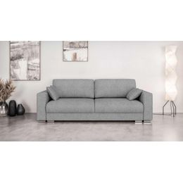 3-Sitzer Home Affaire "Stevinson Schlafsofa mit Bettkasten, Ma&szlig;e B/H/T: 229/87/97 cm", grau (hellgrau), B:229cm H:87cm T:97cm, 100% Polyester, Sofas, mit Wellenunterfederung, 2 R&uuml;ckenkissen und 2 Zierkissen