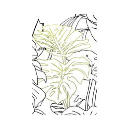 Bild Komar "Monstera Borsigiana", gr&uuml;n (farbe bild(er): gr&uuml;n, wei&szlig;), B:50cm H:70cm, Holz, Papier, Bilder, Bild, Wandbild zur Dekoration - ohne Rahmen