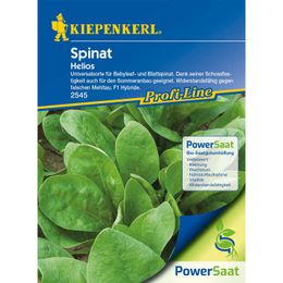 Kiepenkerl Spinat Helios' - Powersaat