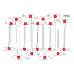 KS Tools Leere Schaumstoffeinlage zu 811.1018 (811.1018-97)