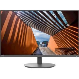 Business Monitor NEC MultiSync&reg; E244FL LCD 24", schwarz