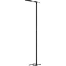 LED Stehleuchte Hansa Larimar, verstell- & drehbar, Energieeffizienzklasse E, 81 Lumen, 4000 K, H 1997 mm, schwarz