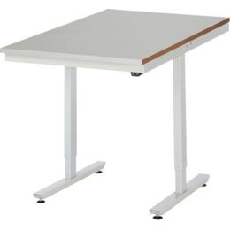 Rau Arbeitstisch Adlatus, elektrisch h&ouml;henverstellbar, 25 mm MDF-Platte, Edelstahlbelag, bis 150 kg, B 750 x T 1000 x H 720-1120 mm, silber/lichtgRau