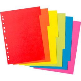 Kartonregister Herlitz, A4, blanko Taben, Euro-Lochung, Recycling-Karton, 1 Satz 6-teilig mit 6 Farben