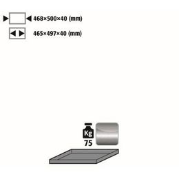 Fachboden Standard f&uuml;r ASECOS Sicherheitsschr&auml;nke der S-30 und K-30 Serie, Edelstahl 1.4301, B 468 x T 500 x H 40 mm, bis 75 kg