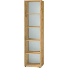 Regal MONTERIA, 5 Ordnerh&ouml;hen, B 500 x T 370 x H 1960 mm, Navarra Eiche/wei&szlig;