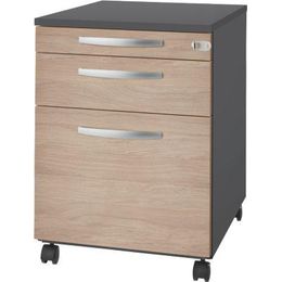 Sch&auml;fer Shop Sch&auml;fer Shop Select Rollcontainer Login, HR-Auszug+Utensilienauszug+Schublade, abschlie&szlig;bar, Holz, B 431 x T 580 x H 595 mm, graphit/Eiche