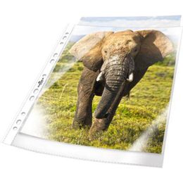 Durable Prospekth&uuml;lle Business, DIN A4, oben offen, 100 St&uuml;ck, genarbt, transparent