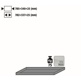 Fachboden Standard f&uuml;r ASECOS Druckgasflaschenschr&auml;nke, Stahlblech, lichtgrau, B 785 x T 340 x H 25 mm, bis 75 kg