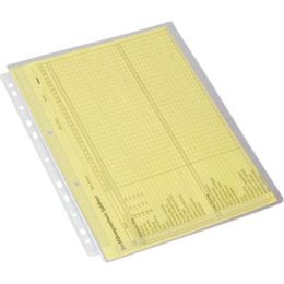 EICHNER Dehnfalten-Dokumentenh&uuml;lle, DIN A4, oben offen, 10 St&uuml;ck, volltransparent