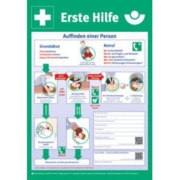 moedel Sicherheits-Aushang &bdquo;Erste Hilfe&ldquo;, gem&auml;&szlig; DGUV 204-001, L 590 x B 410 mm, PVC, mehrfarbig