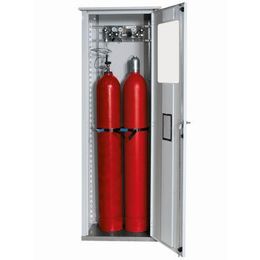 Druckgasflaschenschrank G-OD Standard, Doppelfl&uuml;gelt&uuml;r, klappbarer Glasausschnitt, 2x 50 l Flaschen, B 706 x T 400 x H 2149 mm