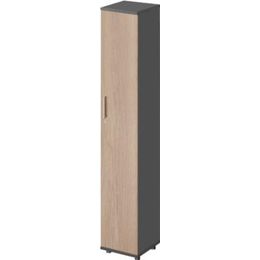 Sch&auml;fer Shop Sch&auml;fer Shop Genius Fl&uuml;gelt&uuml;renschrank TETRIS WOOD, 6 OH, B 400 x T 421 x H 2270 mm, H&ouml;he inkl. Gleiter, T&uuml;r rechts,graphit/Eiche