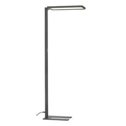 LED-Stehleuchte SLV Worklight, Touch-Dimmer, 7600 Lumen, 79 W, 200-240 V, PIR-Sensor, festverbaute LEDs, L 692 x B 310 x H 1950 mm, schwarz