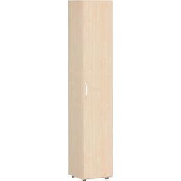 Aktenschrank PALENQUE, 6 OH, B 400 x T 420 x H 2160 mm, Ahorn-Dekor