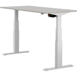 Sch&auml;fer Shop Sch&auml;fer Shop Select Schreibtisch ERGO-T, elektrisch h&ouml;henverstellbar, Rechteck, T-Fu&szlig;, B 1200 x T 800 x H 640-1300 mm, lichtgrau/wei&szlig;aluminium