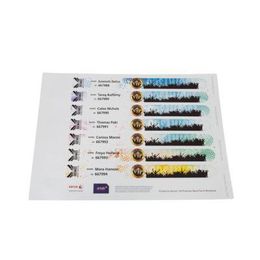 Xerox Premium NeverTear Wristbands, 120 &micro;m, wei&szlig;, wasserfest, perforiert, A4-Format, 100 Blatt, 8 Stk./Blatt