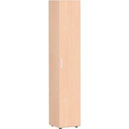 Aktenschrank PALENQUE, 6 OH, B 400 x T 420 x H 2160 mm, Buche-Dekor