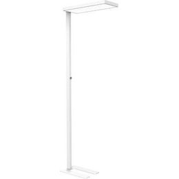 LED-Stehlampe Maul Mauljura, 62 W, 9200 lm, 4000 K, direktes/indirektes Licht, dimmbar, H 1965 mm, Aluminium, wei&szlig;
