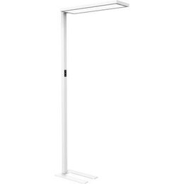 LED-Stehlampe Maul Maulsenja, 87 W, 15150 lm, 2700-5700 K, direktes/indirektes Licht, dimmbar, Bewegungs-/Lichtsensor, H 1960 mm, Aluminium, wei&szlig;