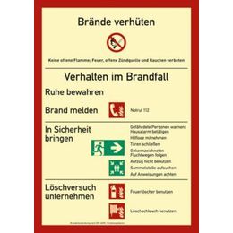 moedel Brandschutzschild &bdquo;Brandschutzordnung (ohne Handfeuermelder)&ldquo;, nach DIN 14096-Teil A, Kunststoff, langnachleuchtend, B 210 x H 297 mm