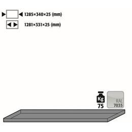 Fachboden Standard f&uuml;r ASECOS Druckgasflaschenschr&auml;nke, Stahlblech, lichtgrau, B 1285 x T 340 x H 25 mm, bis 75 kg