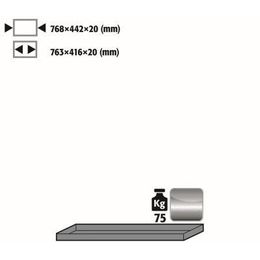 Fachboden Standard f&uuml;r ASECOS Sicherheitsschr&auml;nke der UB90 Serie, Edelstahl 1.4301, B 768 x T 422 x H 20 mm, bis 30 kg