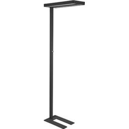 LED-Stehleuchte Mauljuvis, dimmbar, Bewegungs- und Tageslichtsensor, schwarz