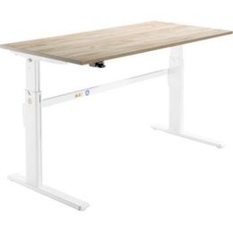 Sch&auml;fer Shop Sch&auml;fer Shop Select Schreibtisch, elektrisch h&ouml;henverstellbar, Rechteck, C-Fu&szlig;, B 1800 x T 800 x H 725-1185 mm, Wildeiche/wei&szlig;