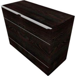 Fl&uuml;gelt&uuml;renschrank QUANDOS BOX, 2 Ordnerh&ouml;hen, B 800 x T 440 x H 748 mm, Mooreiche