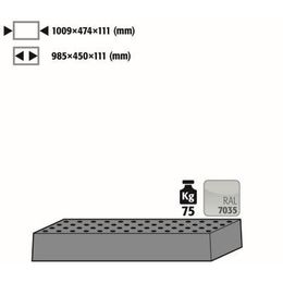 Lochblecheinsatz Standard f&uuml;r ASECOS Sicherheitsschr&auml;nke der Q30, Q90 und S90 Serie, Stahlblech, lichtgrau, B 1009 x T 474 x H 111 mm, bis 75 kg
