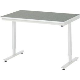 Rau Arbeitstisch Adlatus, elektrisch h&ouml;henverstellbar, 25 mm Spanplatte, Linoleumbelag, 150 kg, B 1250 x T 800 x H 720-1120 mm, hellgRau/lichtgRau