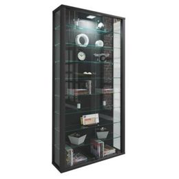 Wandvitrine Vitrosa Maxi, ohne LED-Beleuchtung, 8 Einlegeb&ouml;den, 2 Fl&uuml;gelt&uuml;ren, B 590 x T 180 x H 1140 mm, Glas & Holz, schwarz