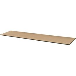 Rau Ablageboden f&uuml;r Arbeitstisch, B 2000 x T 1000 mm