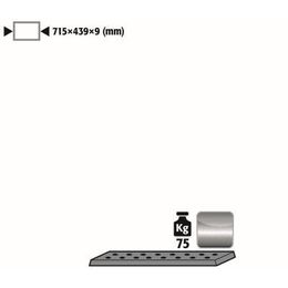 Lochblecheinsatz Standard f&uuml;r ASECOS Sicherheitsschr&auml;nke der UB90 und UB30 Serie, Edelstahl 1.4016, B 717 x T 436 x H 9 mm, bis 75 kg